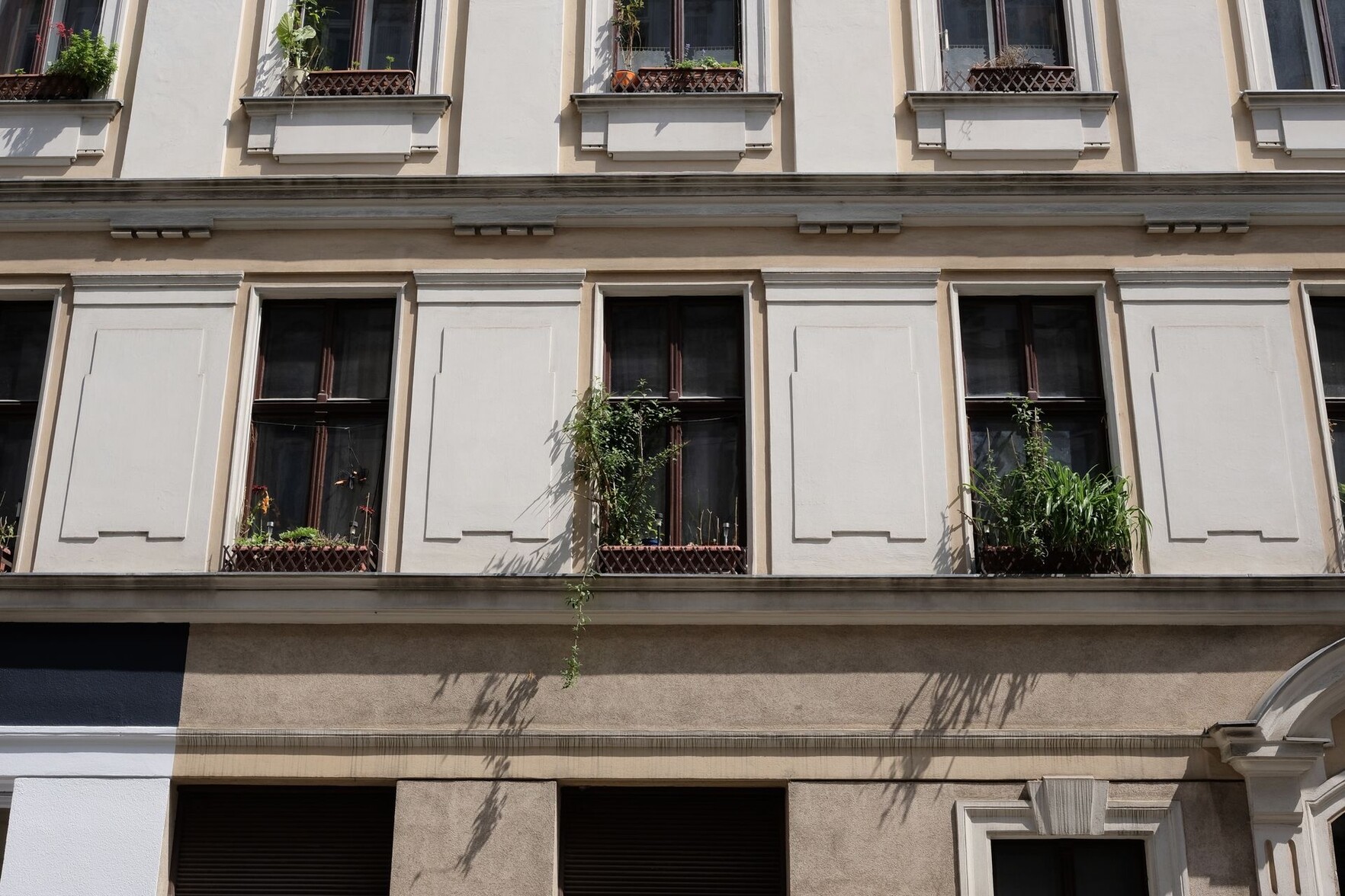 Florian Eckerstorfer (@florian@constant.social) - constant.social